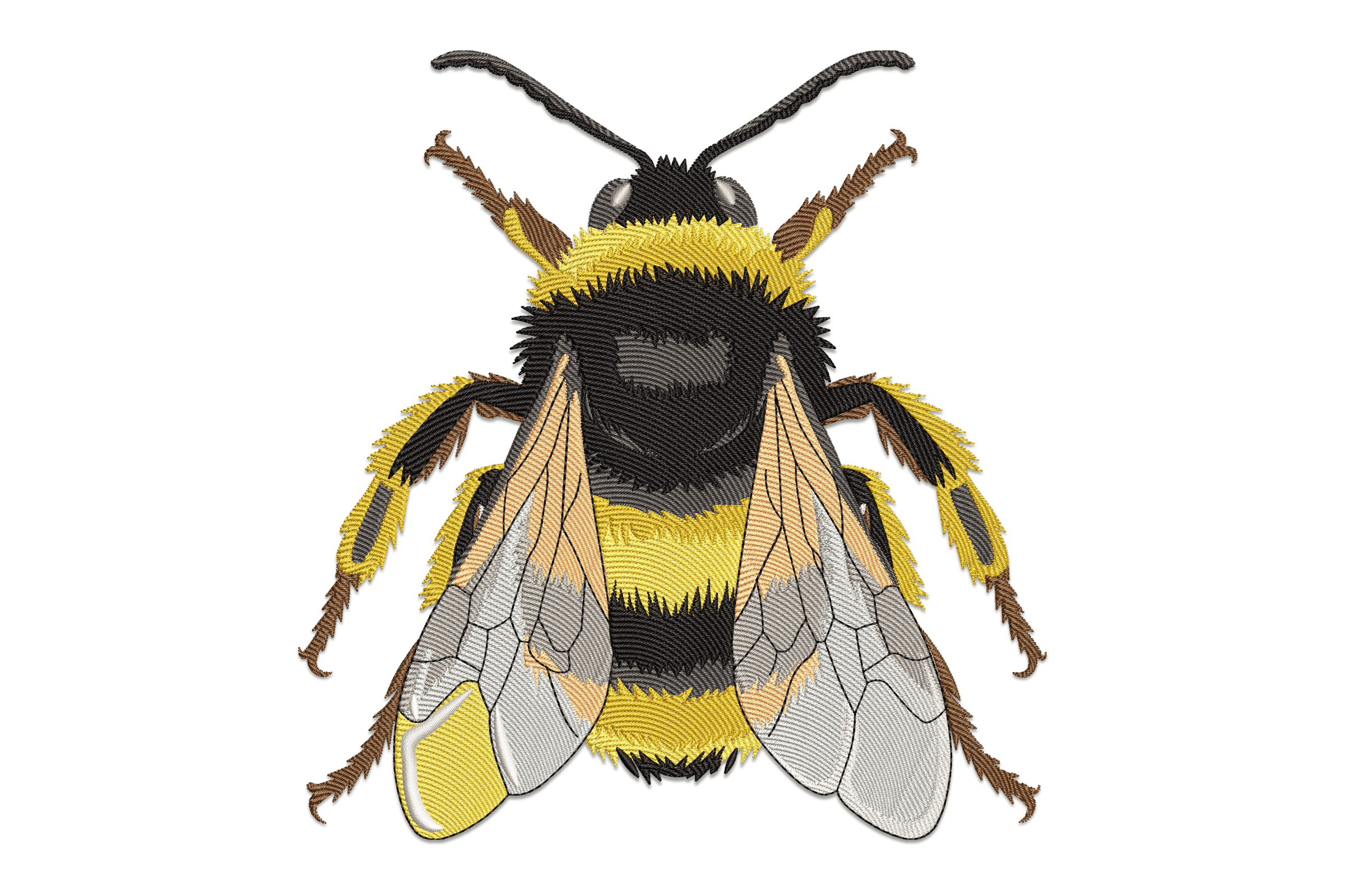 Realistic Bumble Bee – Detailed Insect Machine Embroidery Design ...