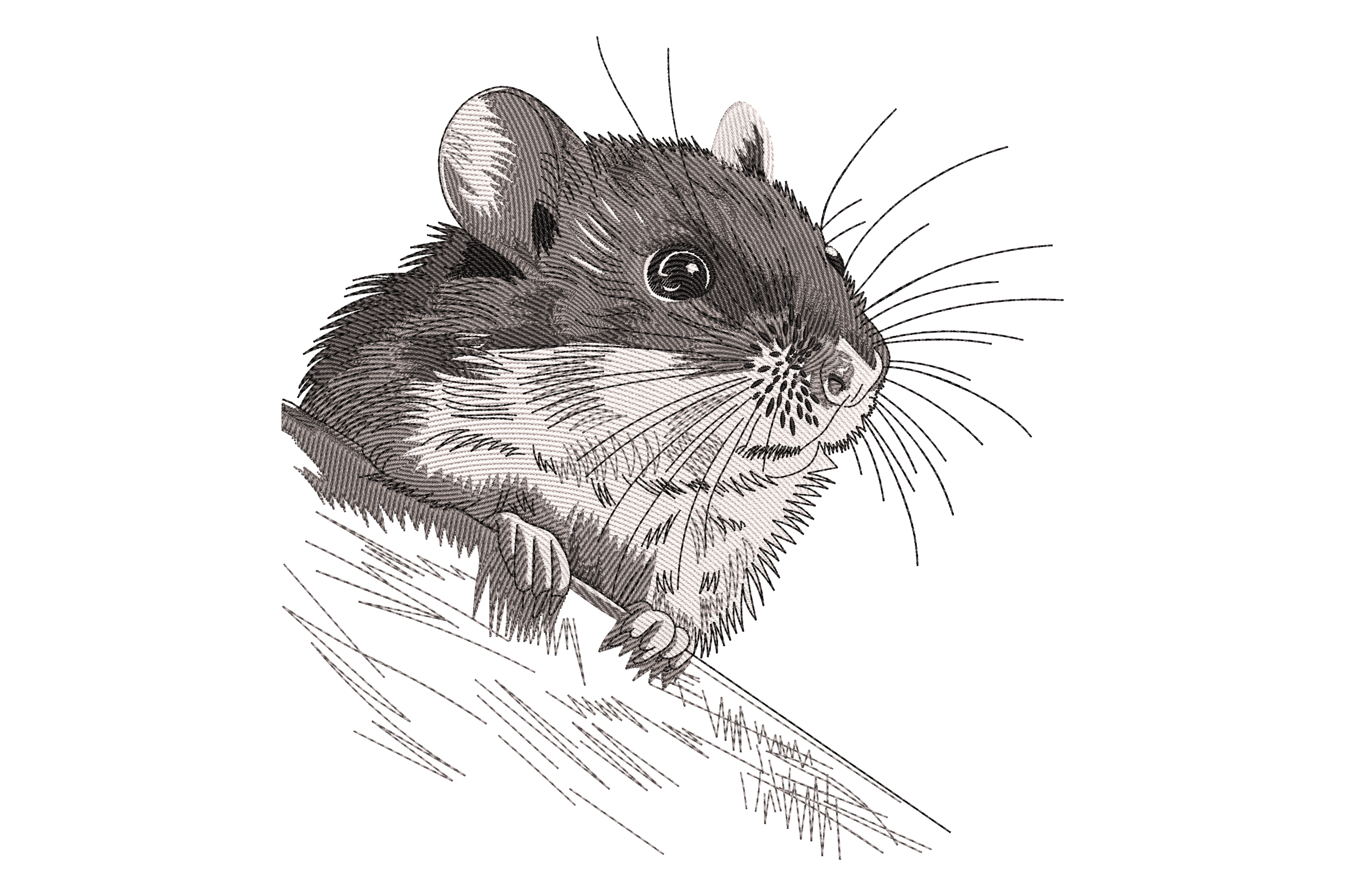 Sketch Mouse on Branch – Machine Embroidery Design | Embroidize