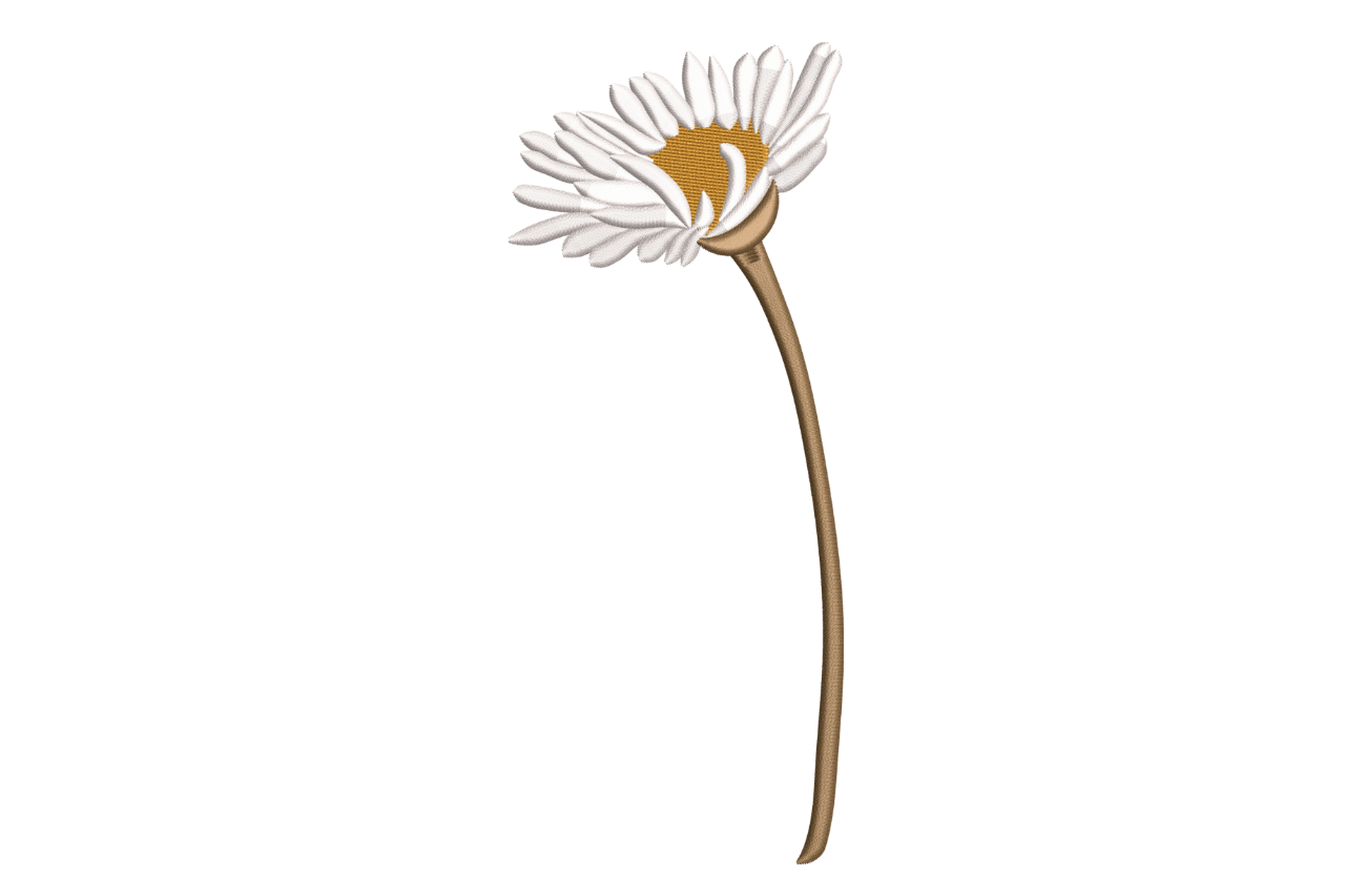 Daisy Stem – Wildflower Machine Embroidery Design | Embroidize