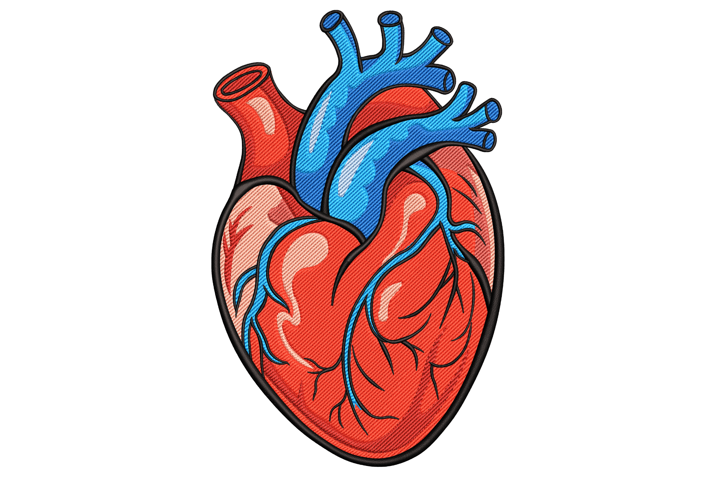 Anatomical Heart – Medical Machine Embroidery Design | Embroidize