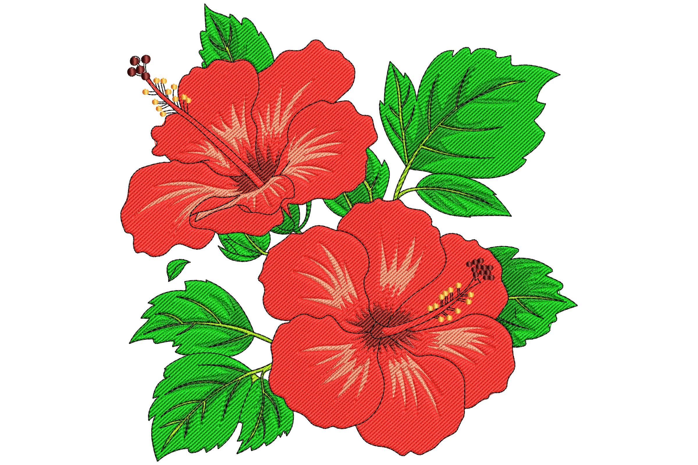 Red Hibiscus Flowers – Machine Embroidery Design | Embroidize