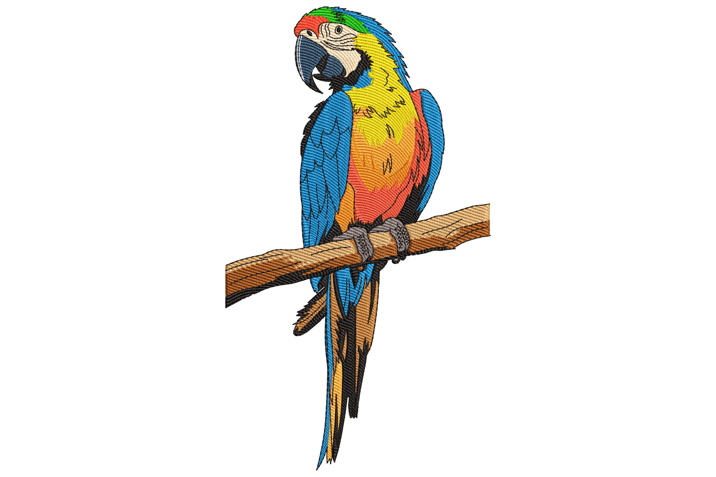 Colorful Macaw Parrot – Bird Machine Embroidery Design | Embroidize