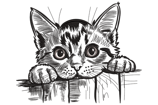 Cute Sketch Kitten – Machine Embroidery Design | Embroidize