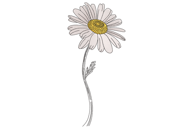Single Daisy Stem – Floral Machine Embroidery Design | Embroidize
